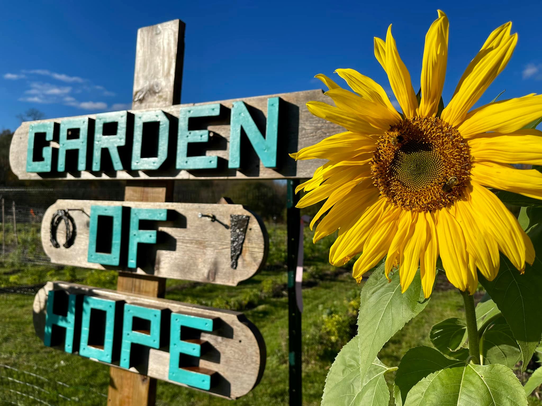 Yorktown Garden of Hope - Grace Lutheran Church of Yorktown Heights, NY